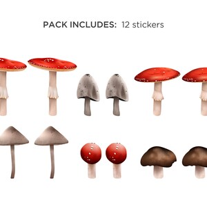 Mushroom Sticker Pack 12pc / Mushroom Stickers / Fungi Stickers / Plant ...