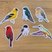 Bird Sticker Pack 12pc / Bird Stickers / Nature Stickers / Bird Sticker ...