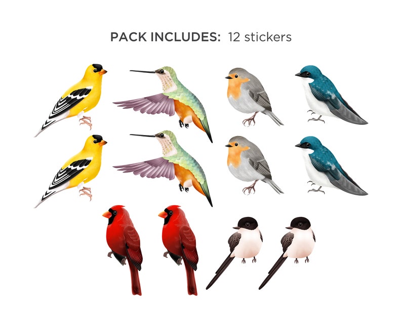 Bird Sticker Pack 12pc / Bird Stickers / Nature Stickers / - Etsy