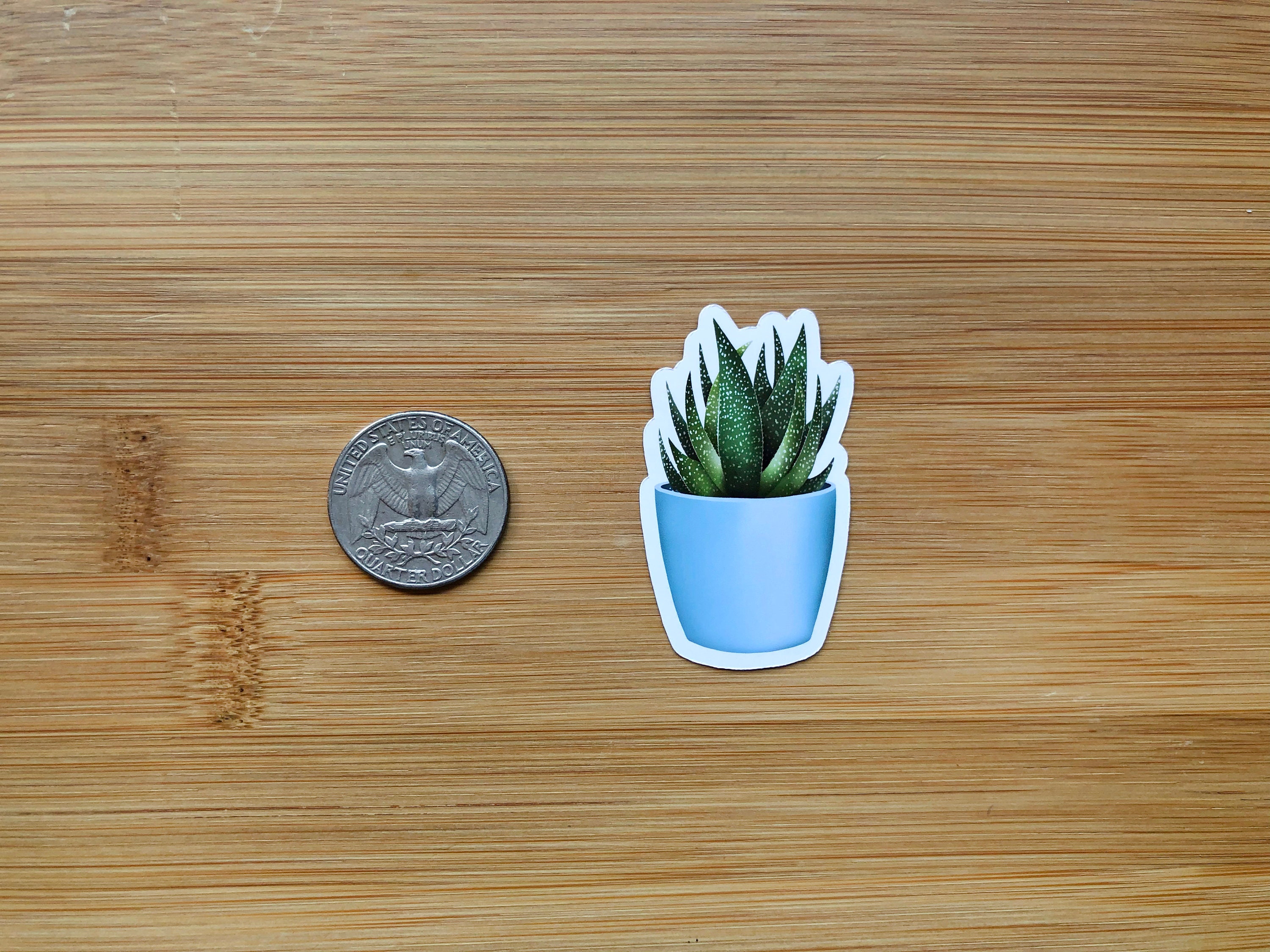 Plant Sticker Pack 12pc / Plant Stickers / Succulent Stickers - Etsy