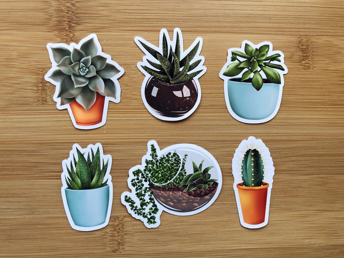Plant Sticker Pack 12pc / Plant Stickers / Succulent Stickers - Etsy