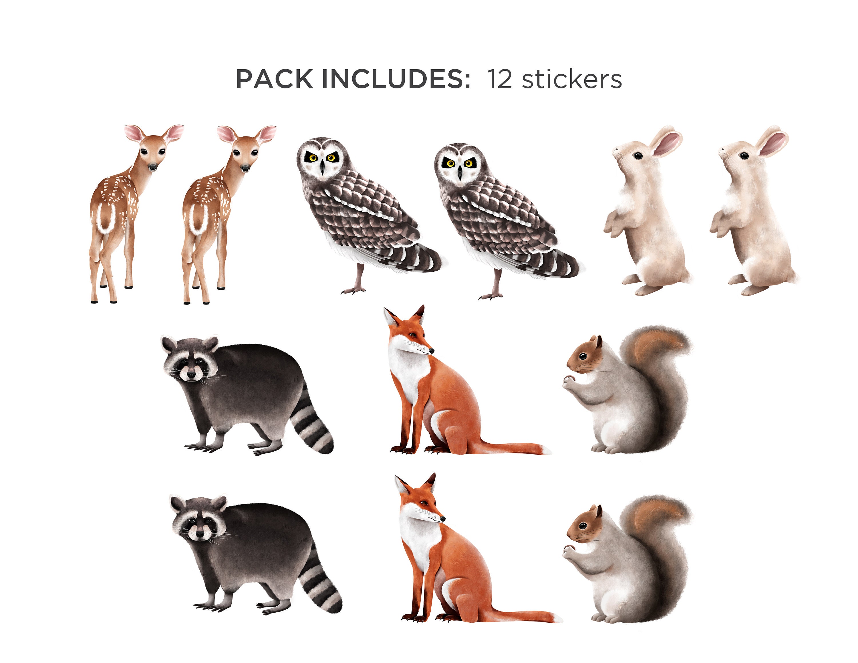 Woodland Sticker Pack 12pc / Forest Animal Stickers / Animal - Etsy