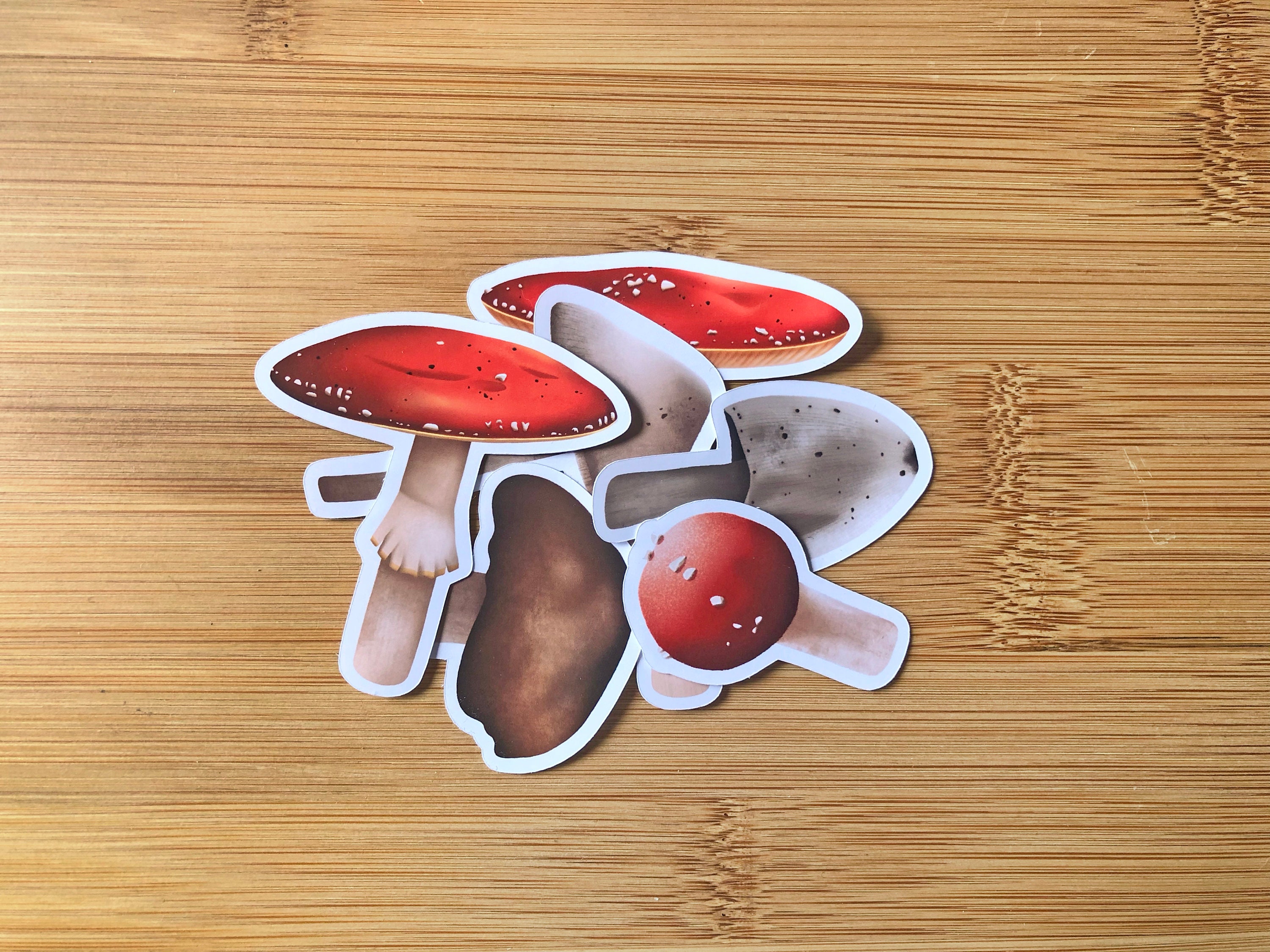 Mushroom Sticker Pack 12pc / Mushroom Stickers / Fungi | Etsy