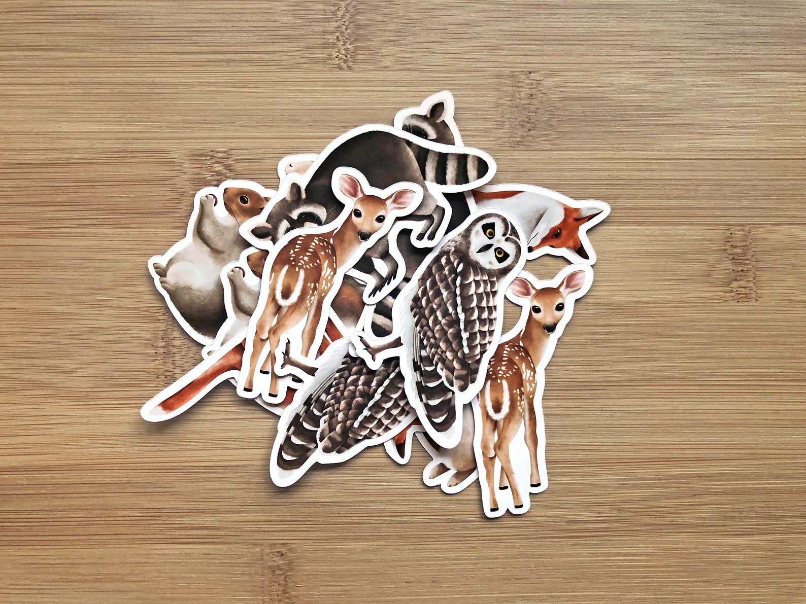 Woodland Sticker Pack 12pc / Forest Animal Stickers / Animal - Etsy