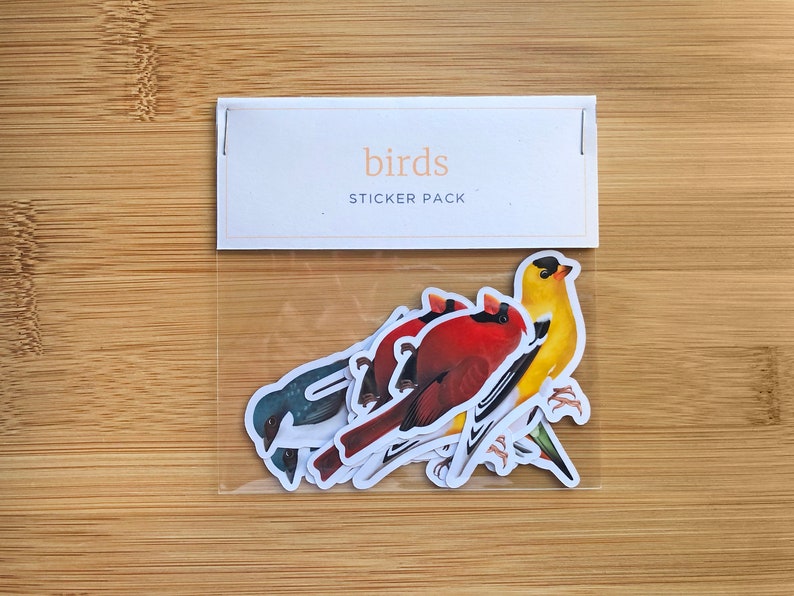 Bird Sticker Pack 12pc / Bird Stickers / Nature Stickers / - Etsy