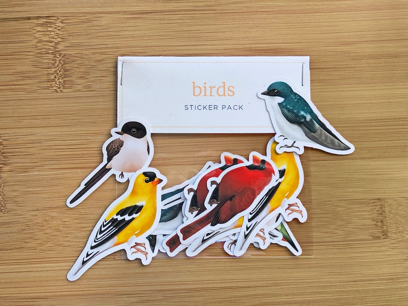 Bird Sticker Pack 12pc / Bird Stickers / Nature Stickers / - Etsy