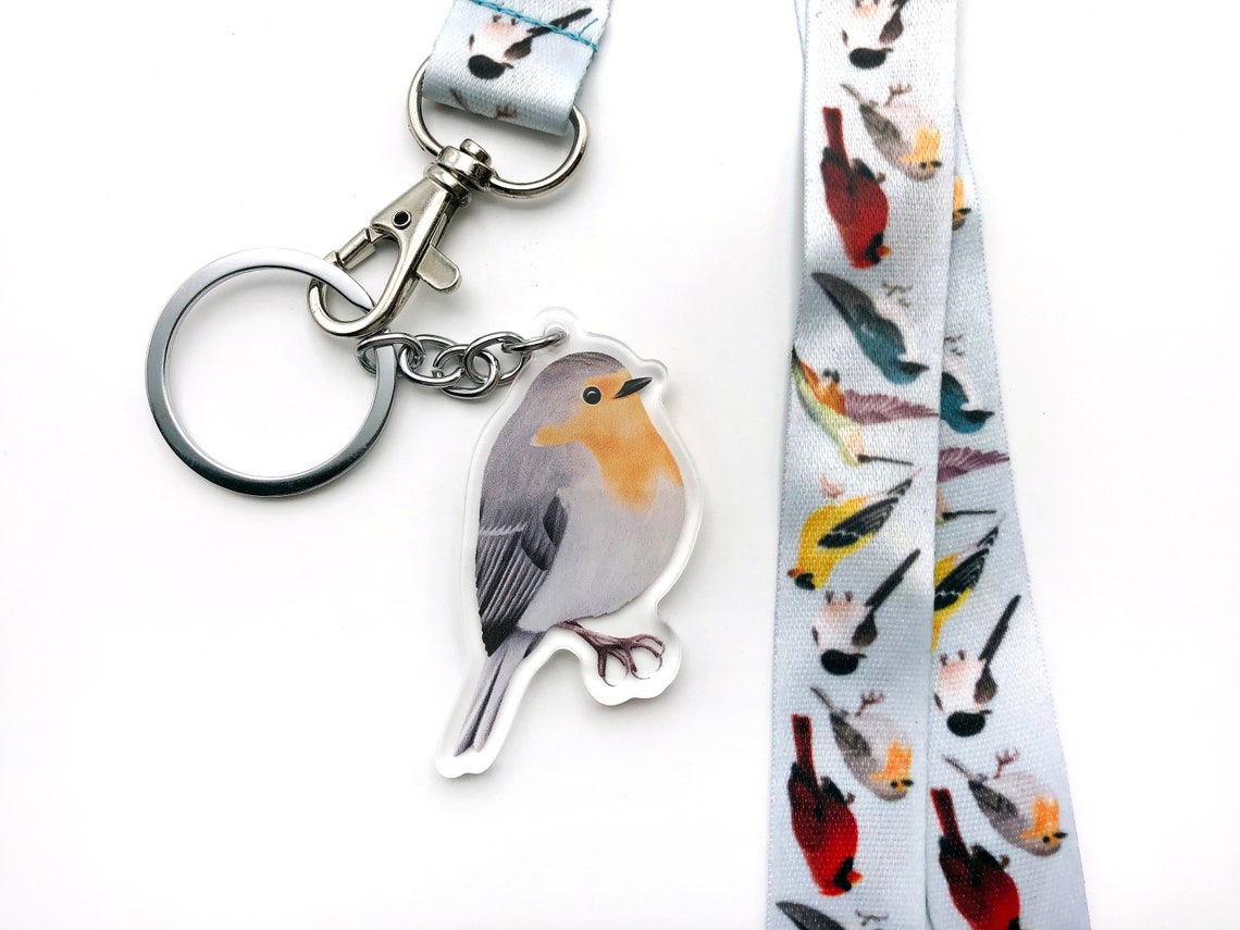 Bird Keychain / Robin Keyring / American Robin Acrylic Charm / - Etsy