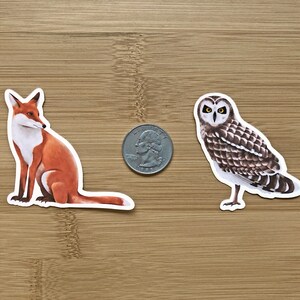 Woodland Sticker Pack 12pc / Forest Animal Stickers / Animal Sticker ...