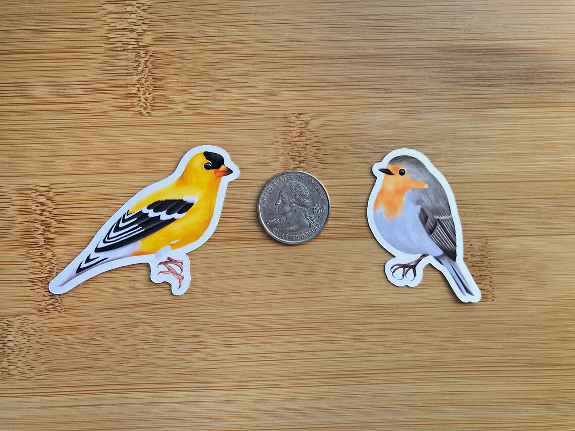 Bird Sticker Pack 12pc / Bird Stickers / Nature Stickers / - Etsy
