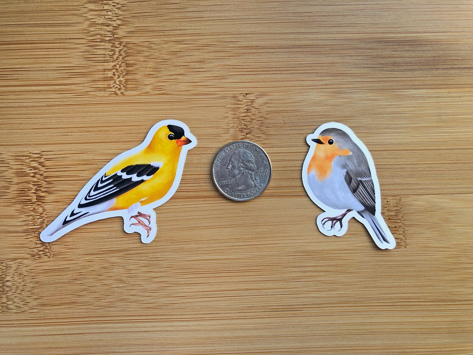 Bird Sticker Pack 12pc / Bird Stickers / Nature Stickers / - Etsy