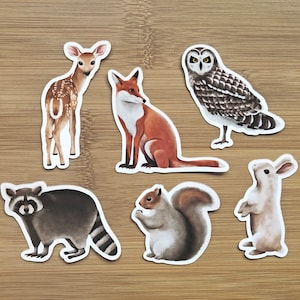 Woodland Sticker Pack 12pc / Forest Animal Stickers / Animal Sticker ...