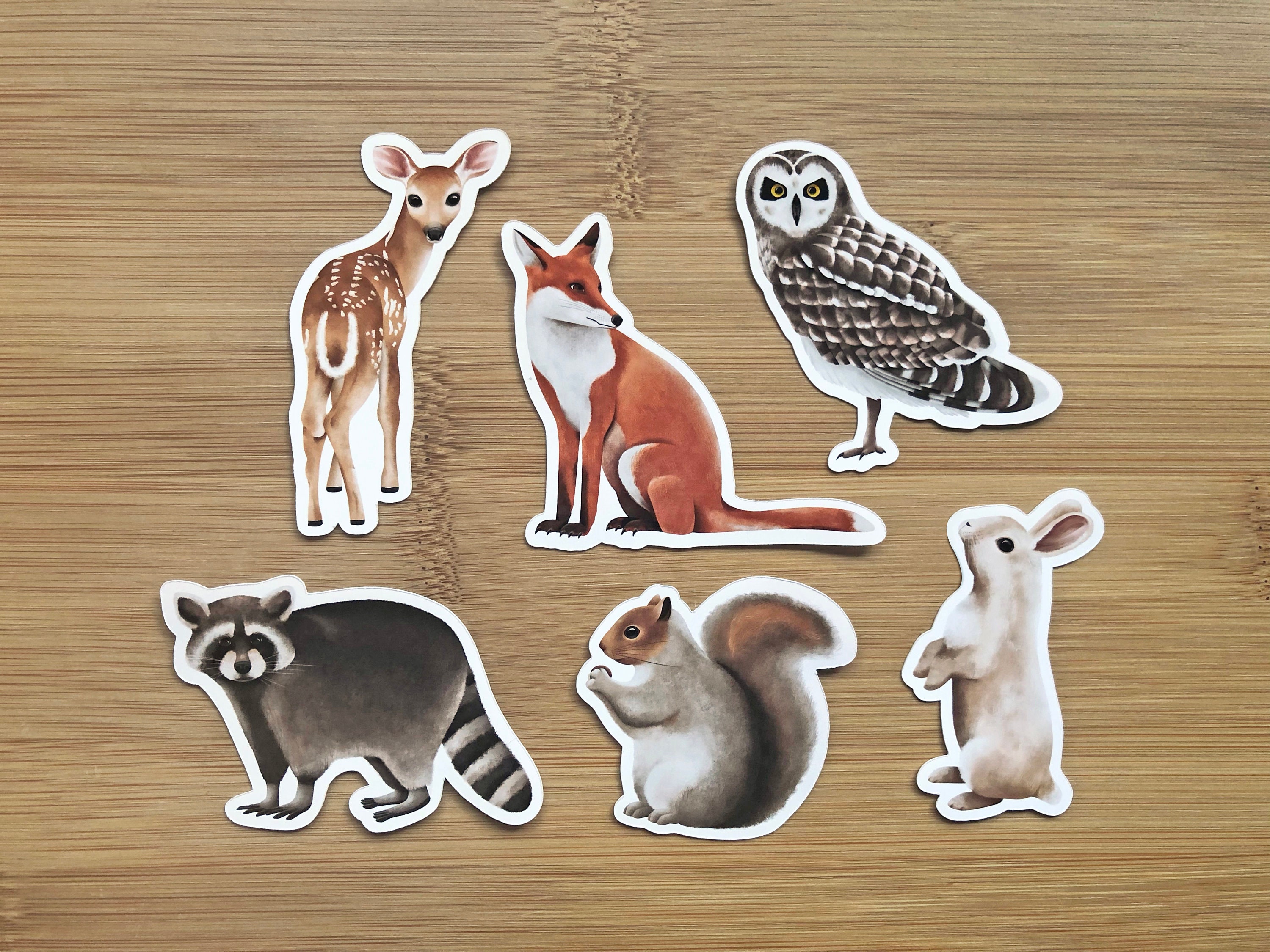 Woodland Sticker Pack 12pc / Forest Animal Stickers / Animal - Etsy