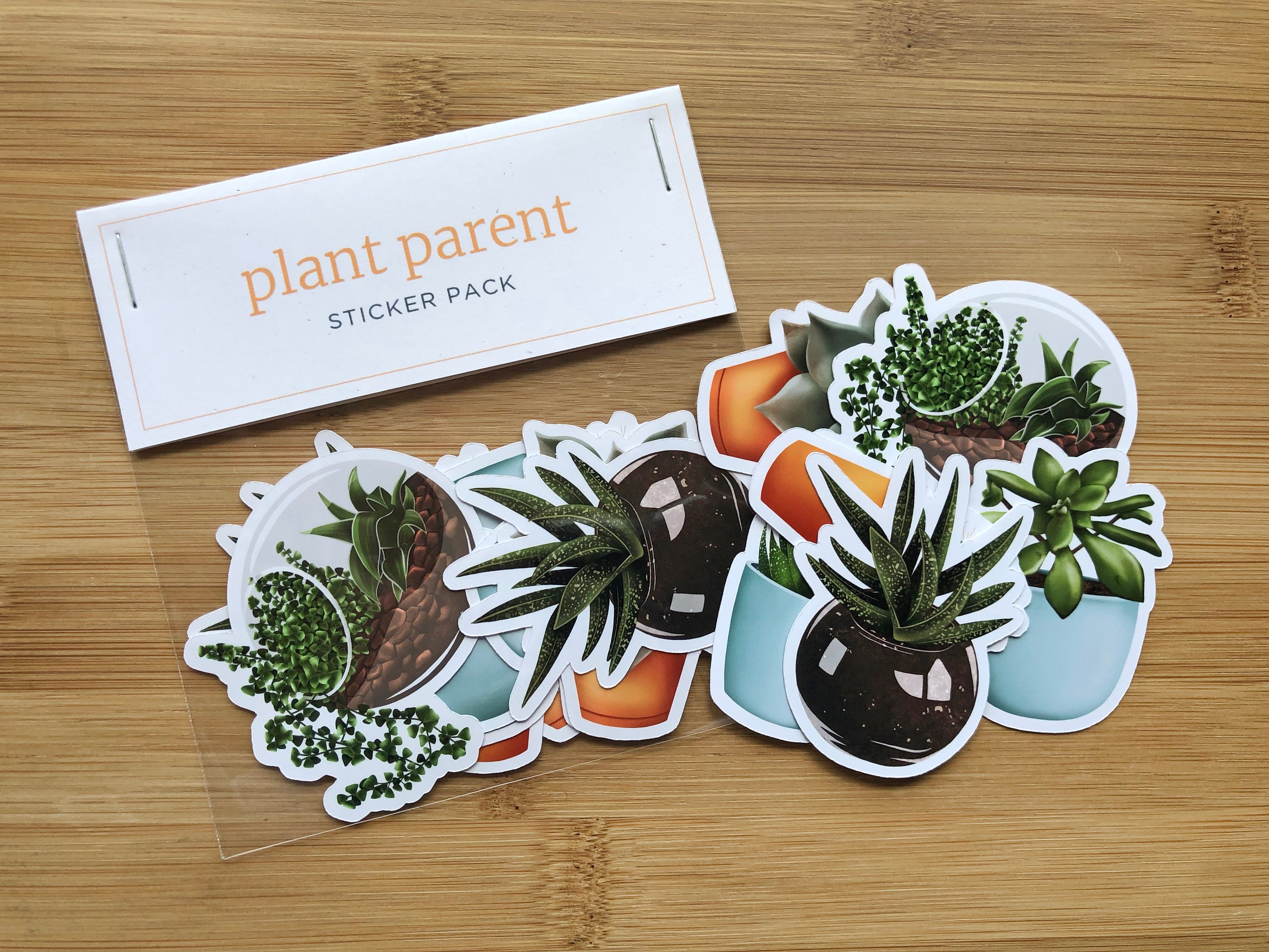 Plant Sticker Pack 12pc / Plant Stickers / Succulent Stickers - Etsy