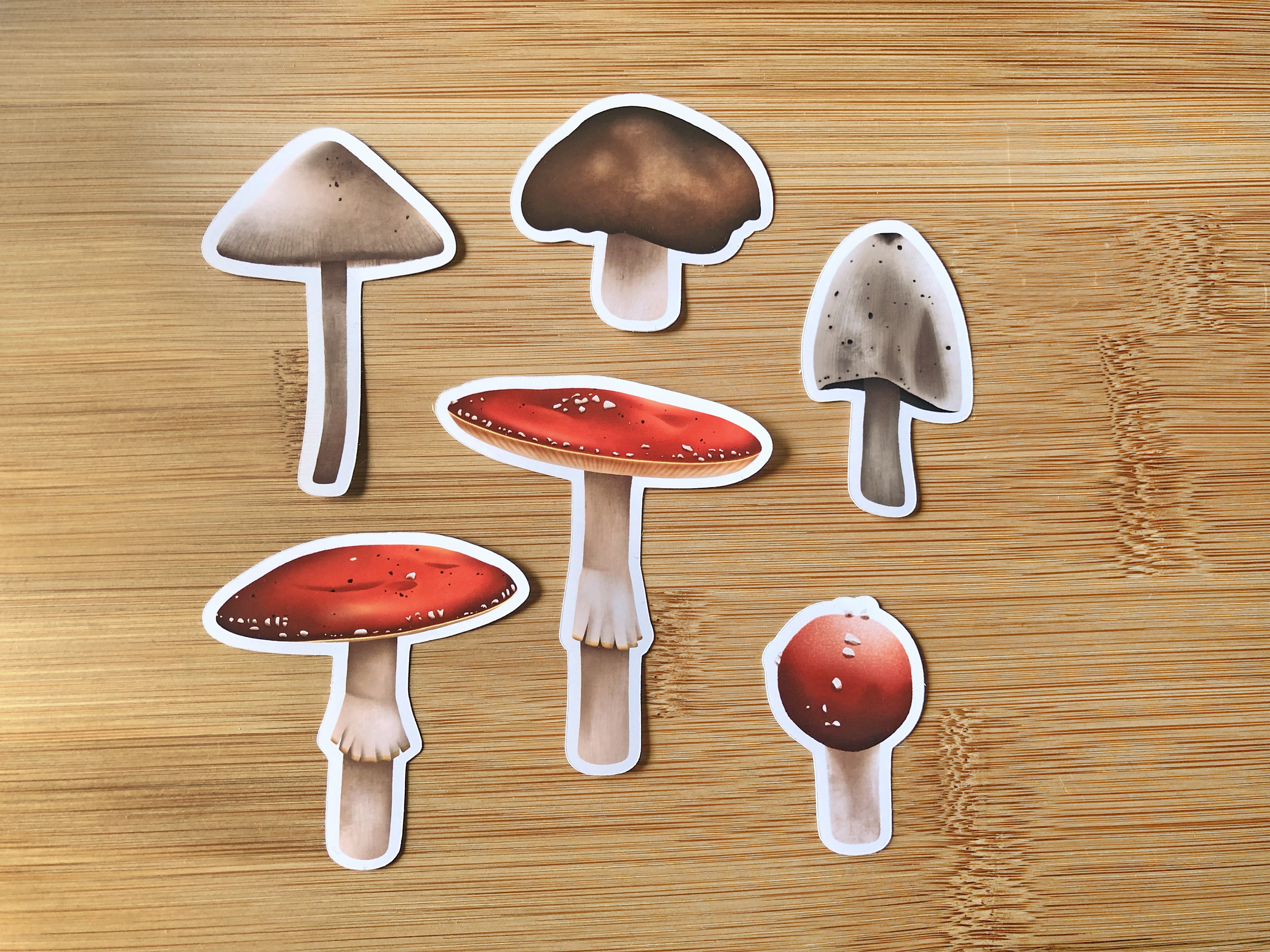 Mushroom Sticker Pack 12pc / Mushroom Stickers / Fungi | Etsy