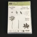 Stampin' Up AVANT-GARDEN Stamp Set Birthday Wishes Thanks Garden ...
