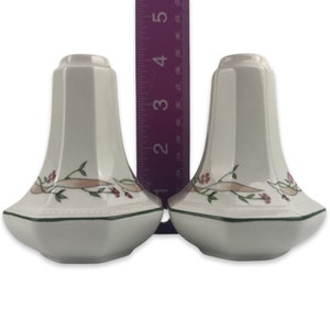 Johnson Brothers Eternal Beau Salt and Pepper Shaker Set Vintage Pink ...