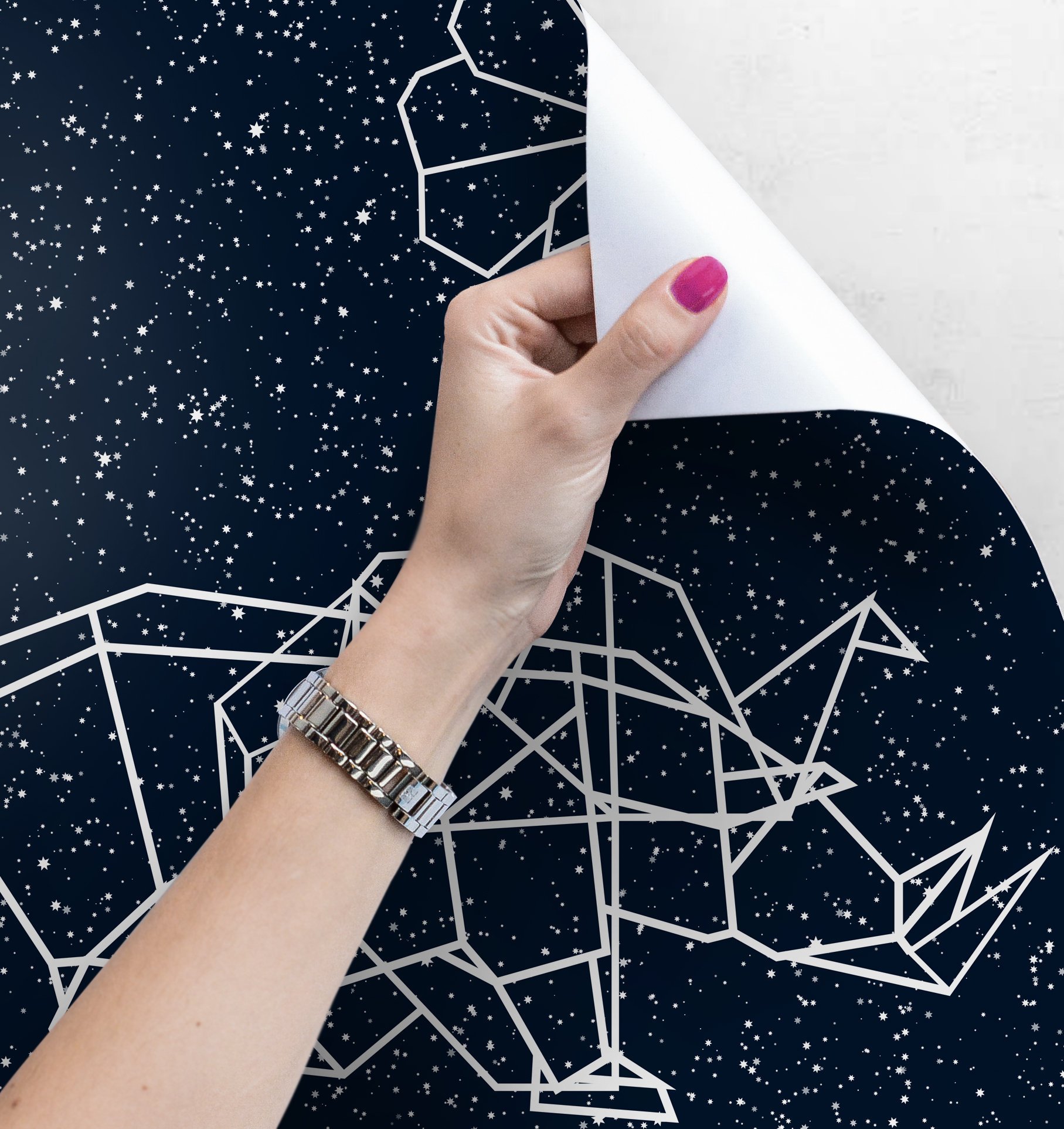 Constellation Animals Line Design Galaxy Cosmos | Etsy