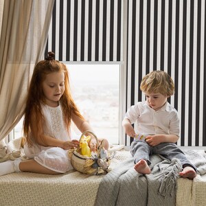 Roller Blinds, Light Diffusing or Darkening, Blackout, Black and White ...