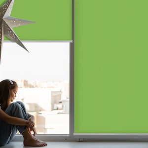 Roller Blinds, Blackout or Sheer Option, Light Green, Solid Color ...