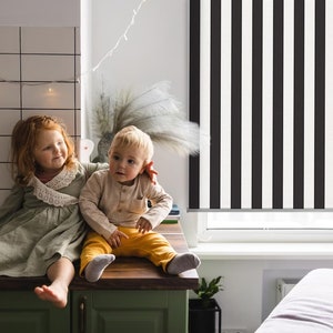 Roller Blinds, Light Diffusing or Darkening, Blackout, Black and White ...