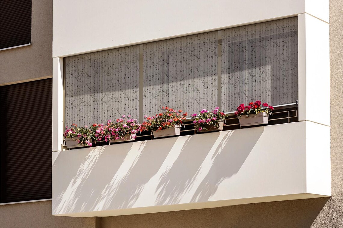 Birch Forest Balcony Roller Blinds, Nature Window Treatments, Gray ...