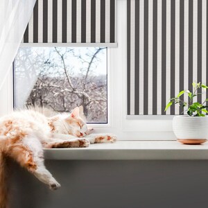 Roller Blinds, Light Diffusing or Darkening, Blackout, Black and White ...