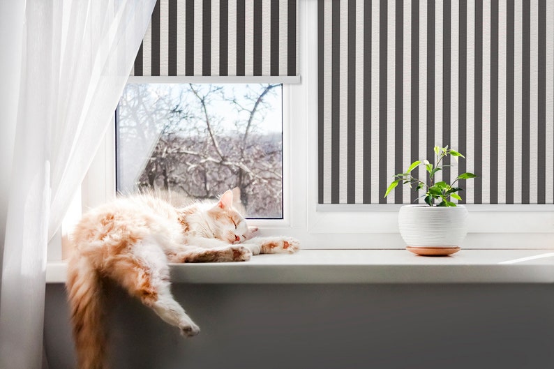 Roller Blinds, Light Diffusing or Darkening, Blackout, Black and White ...