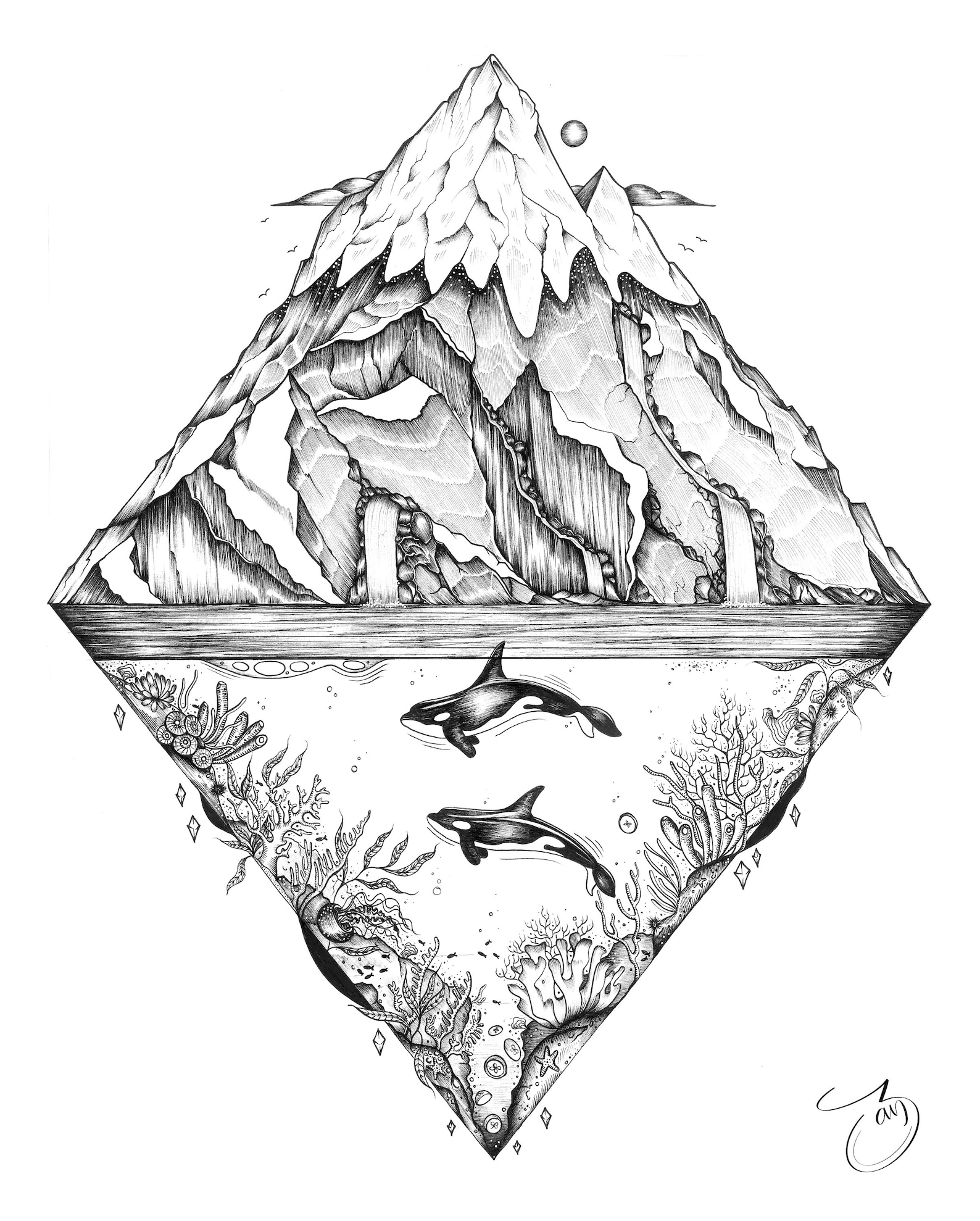 Orca Art Print Nature Art Prints & Posters Killer Whales - Etsy