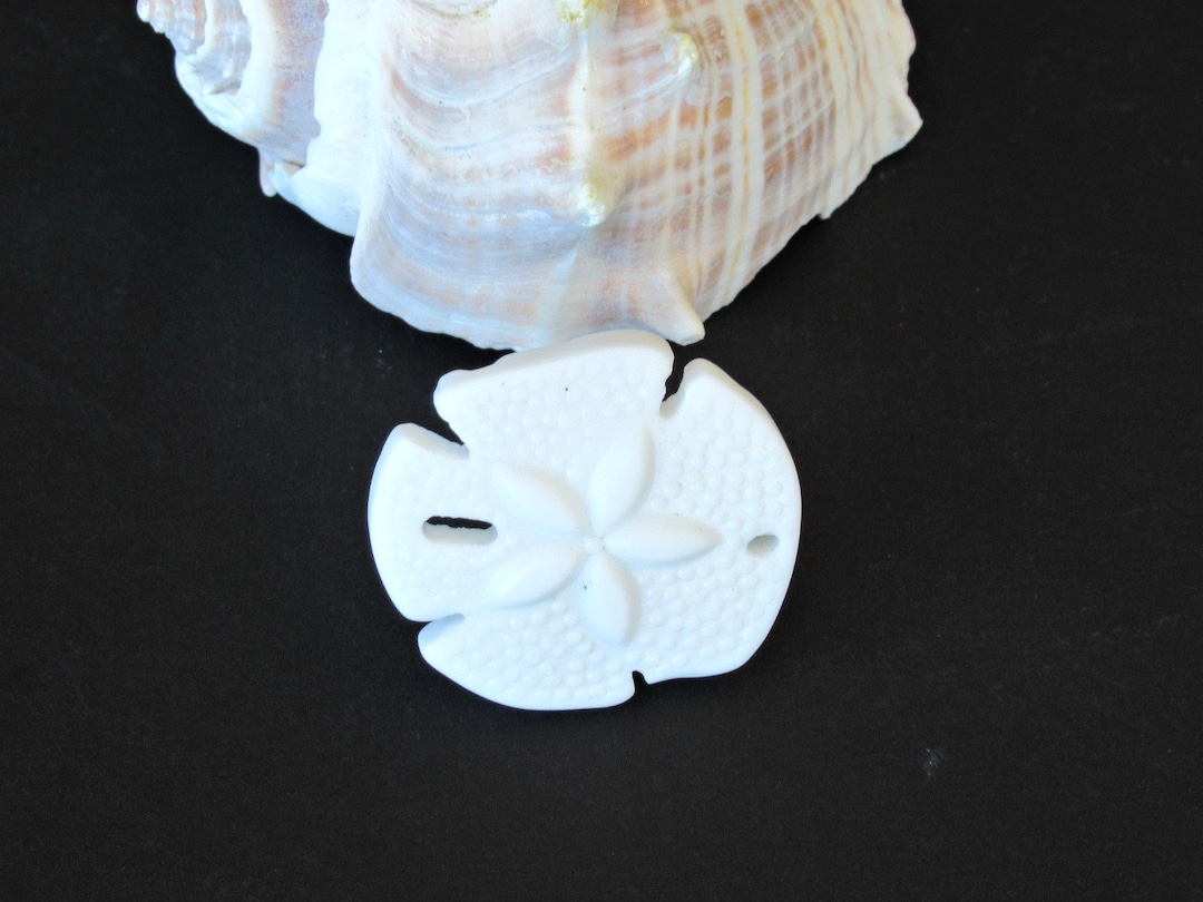 One (1) or Sets of (4) - (8) - (12) - (24) Knobs - White Cultured Sea Glass Knob - Sand Dollar ...