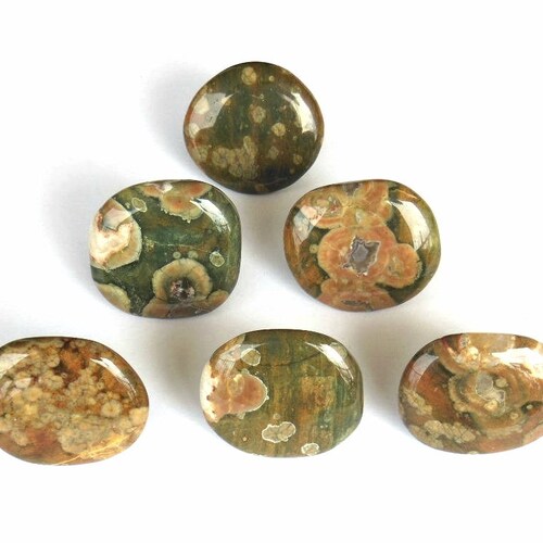 One 1 Knob Large Rainforest RHYOLITE JASPER Gemstone - Etsy