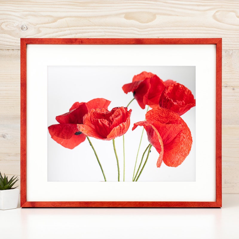 Red Frame - Etsy