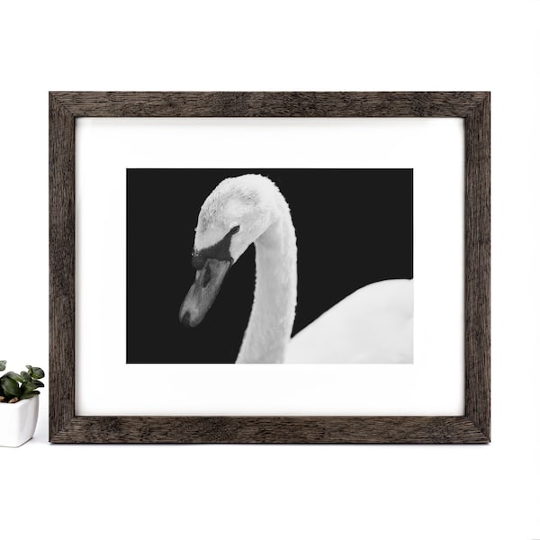 11x17 Frame Mat - Etsy