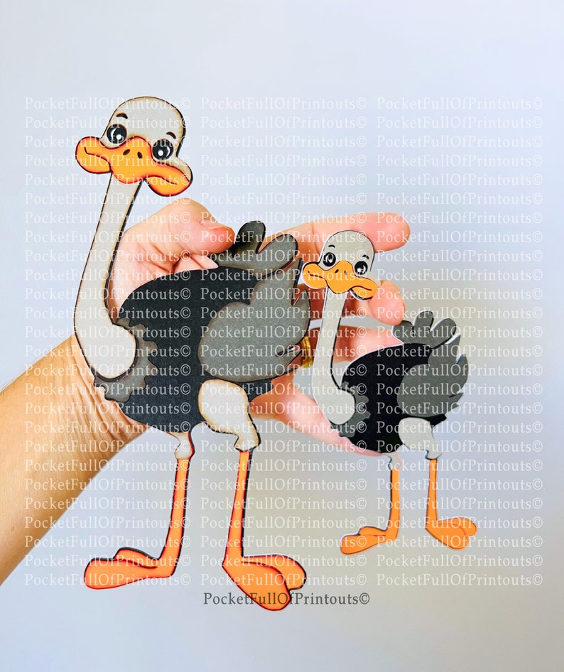 Ostrich Layered Digital Files Jpg Svg Png Cut File Cricut - Etsy