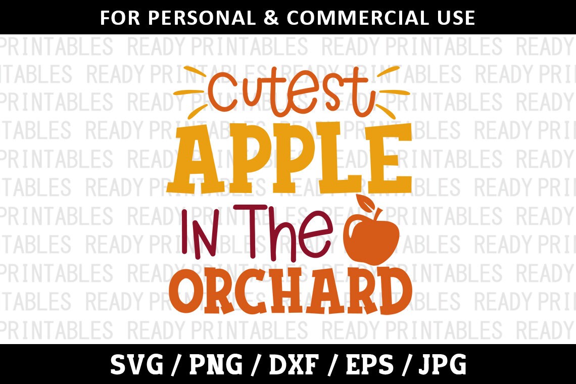 Cutest Apple In The Orchard SVG Fall Svg Png Pumpkin Svg | Etsy