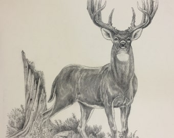 2026 Monster Whitetail Deer Wall Calendar 16-month X-large Size 14x22 ...