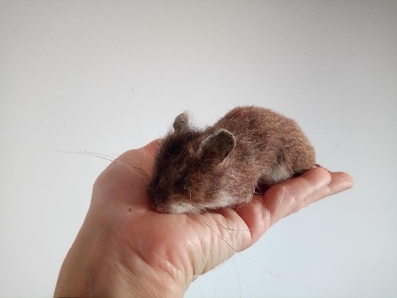Faux Taxidermy Mouse Realistic Sleeping Mouse - Etsy