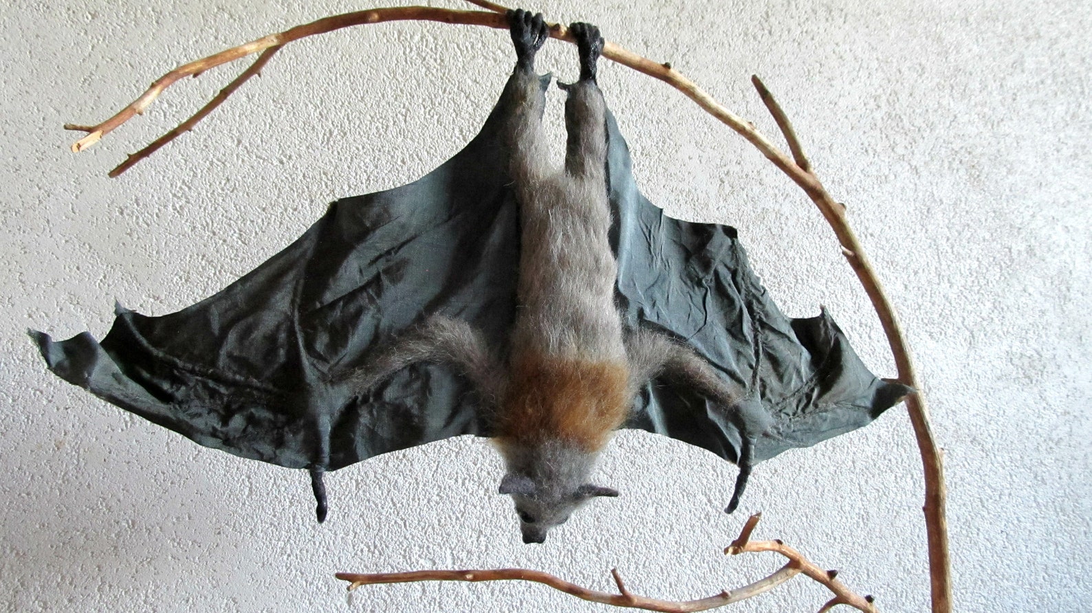Needle Felted Bat Grey-headed Flying Fox - Etsy