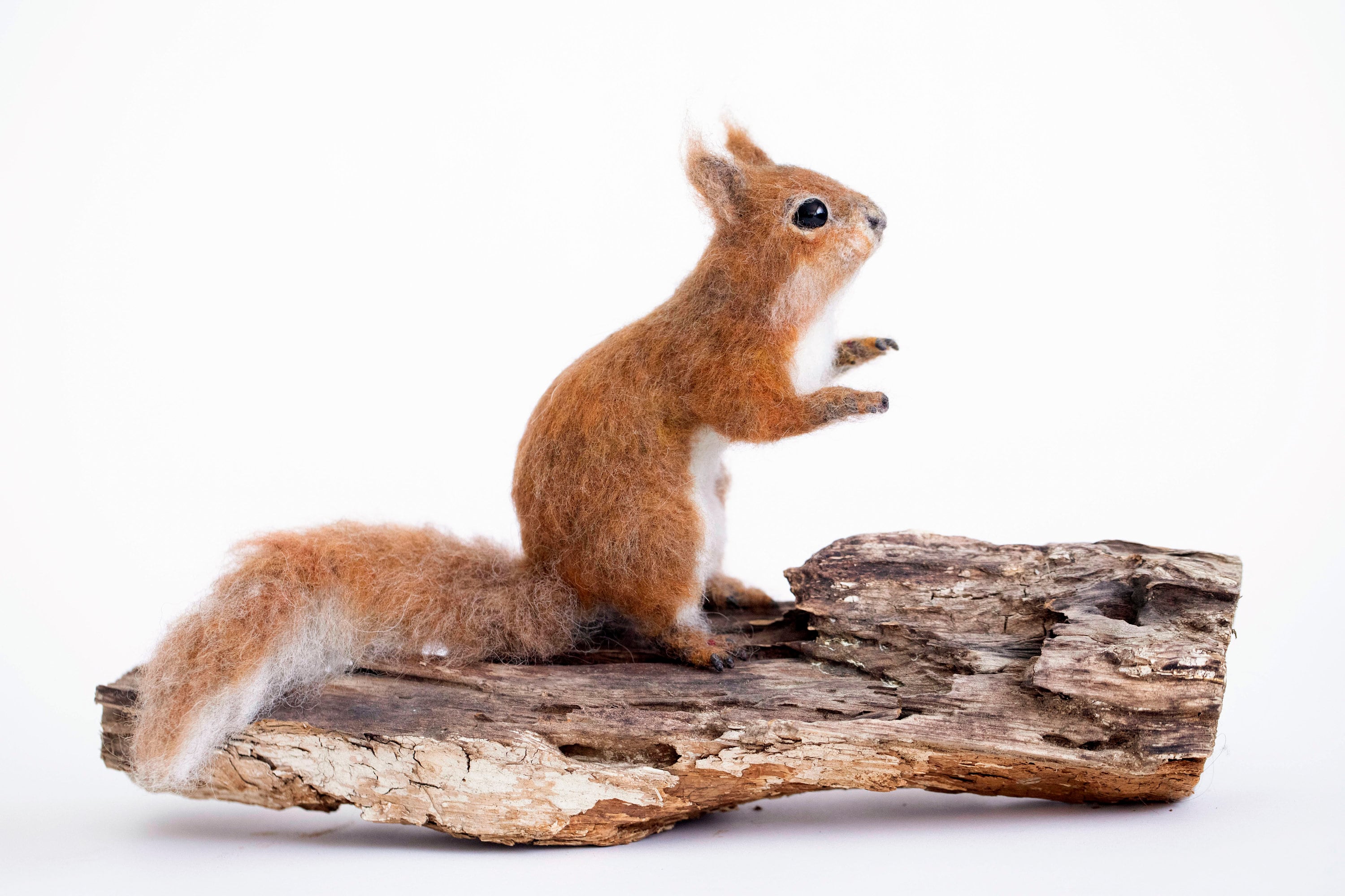 Realistic Red Squirrel Needle Felted Woodland Animal Nature - Etsy