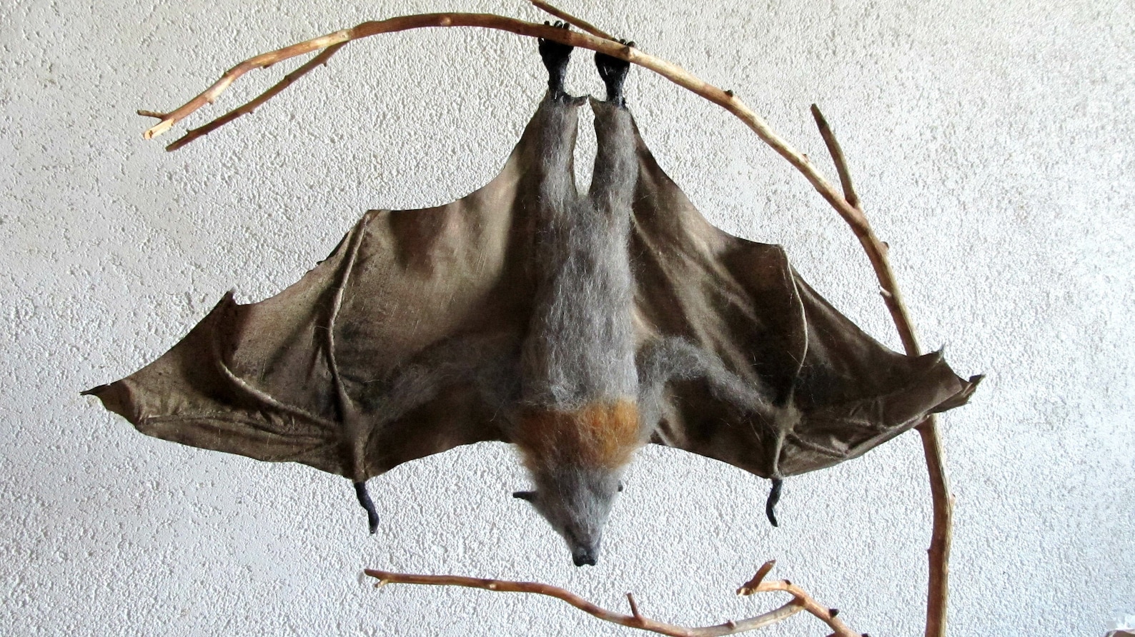 Needle Felted Bat Grey-headed Flying Fox - Etsy