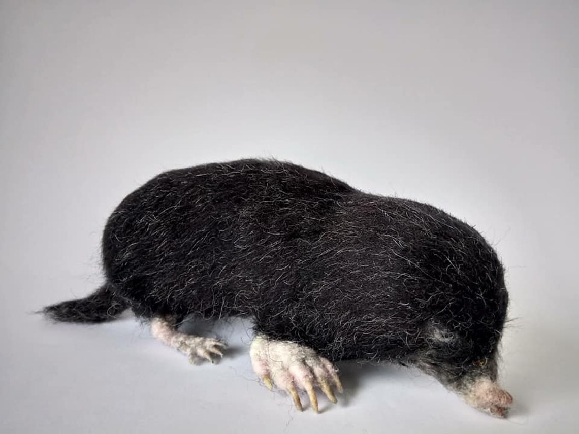 Needle Felted Pacific Mole Figurine: Realistic Pose-able Animal - Etsy