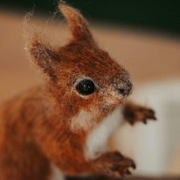 Felt Squirrel - Etsy