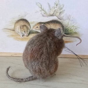 Field Mouse/hyper Realistic Felted Field Mouse - Etsy