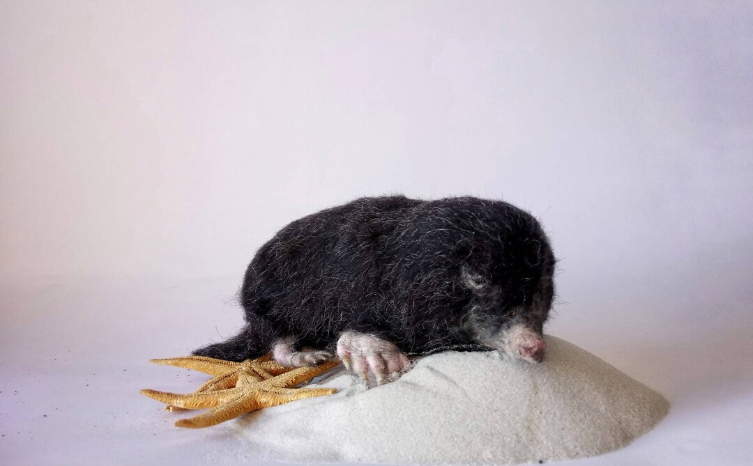 Needle Felted Pacific Mole Figurine: Realistic Pose-able Animal - Etsy