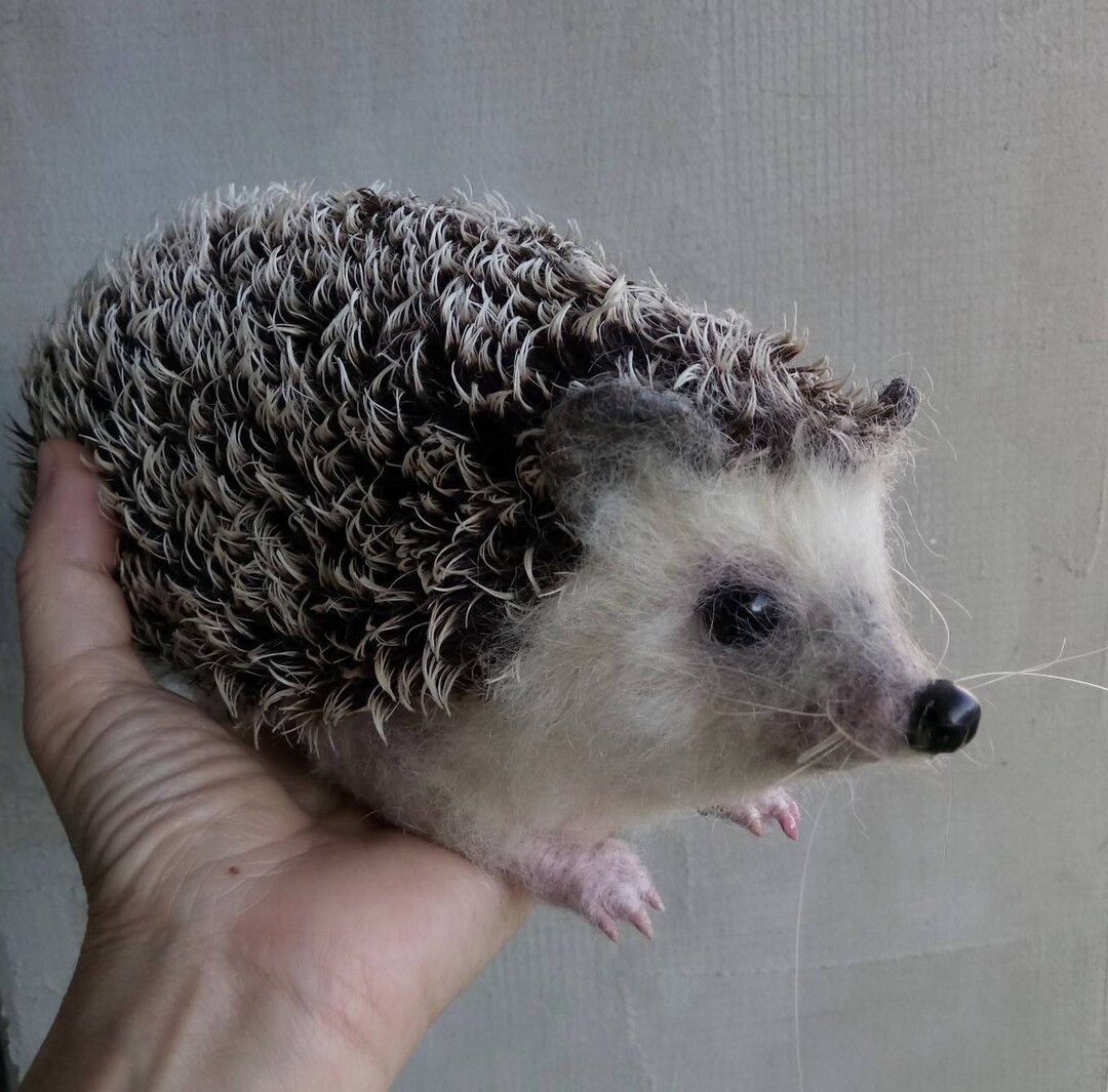 Needle Felted Forest Animal Hedgehog Soft Sculpture - Etsy