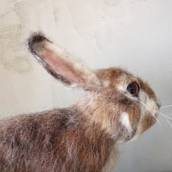 Wild Hare - Etsy