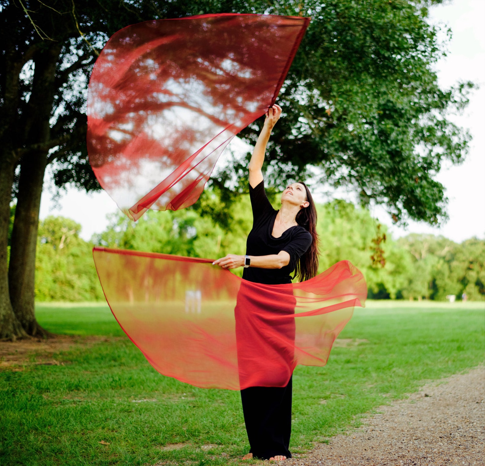 Angel Wing Flag SET: Praise Flag Set, 2 Flags, Ready to Ship, FREE ...