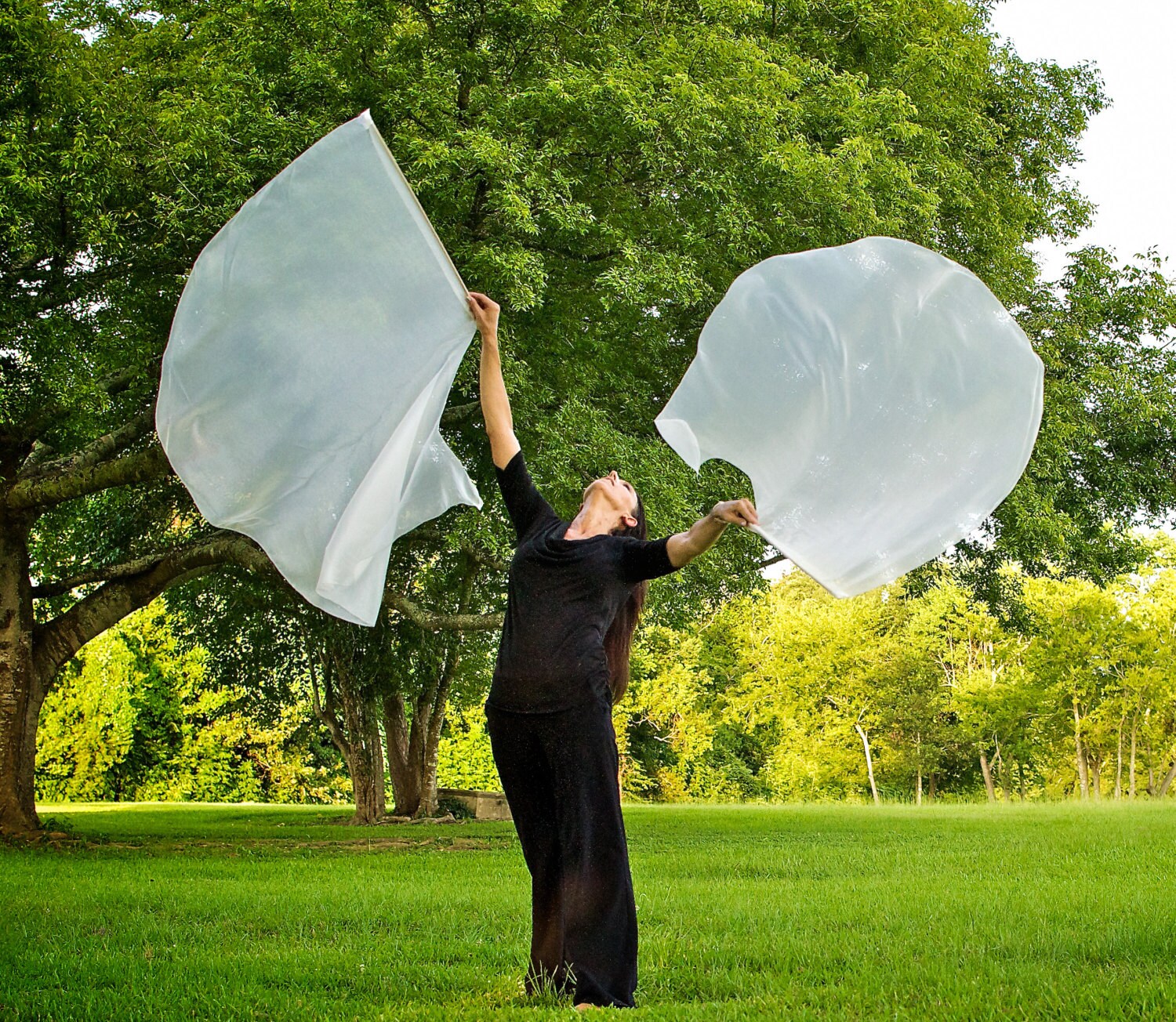 Angel Wing Flag SET: Praise Flag Set, 2 Flags, Ready to Ship, FREE ...