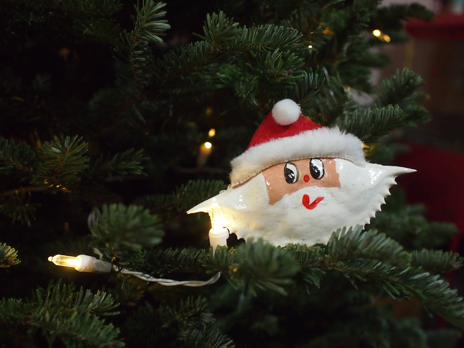 Crab Shell Santa - Etsy