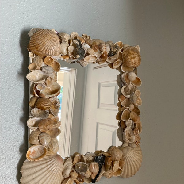 Seashell Mirror - Etsy
