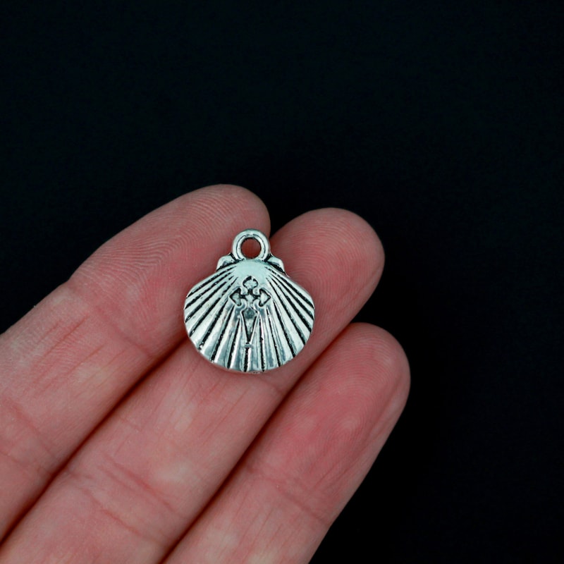 St James Shell - Etsy